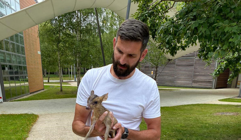 Who We Are – Ashdown Phillips & Partners